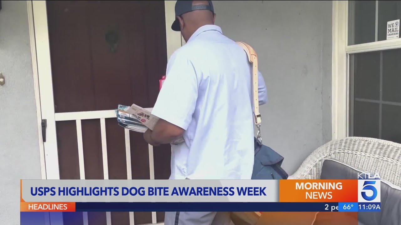 USPS highlighting National Dog Bite Awareness Campaign amid rise in ...
