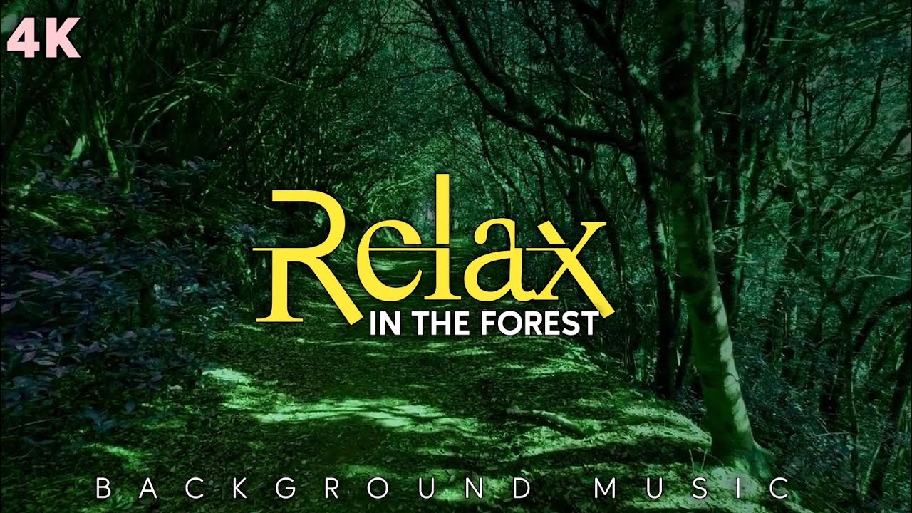 Relax In The Forest Background Music | Bgm Ringtones | Instrumental ...