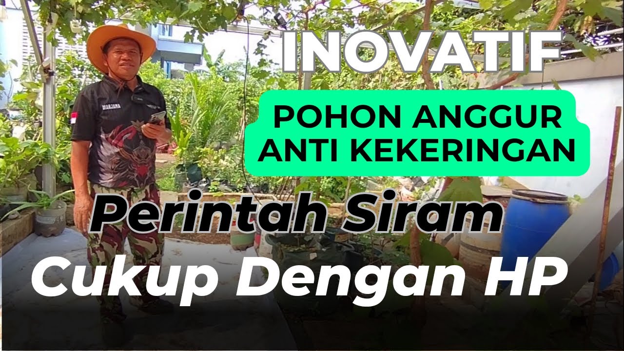 Penyiraman Tanaman Otomatis. Kebun Anggur Skadik 304 - YouTube
