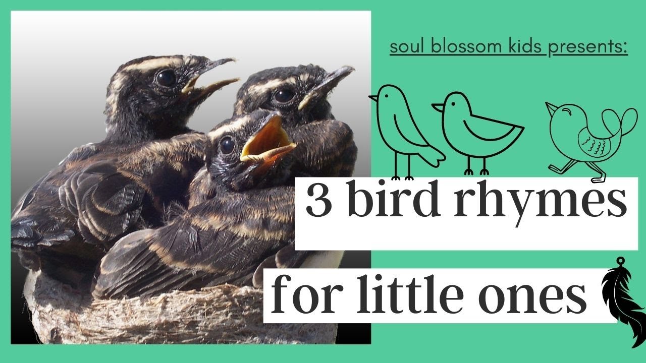 3 bird rhymes for little ones - YouTube
