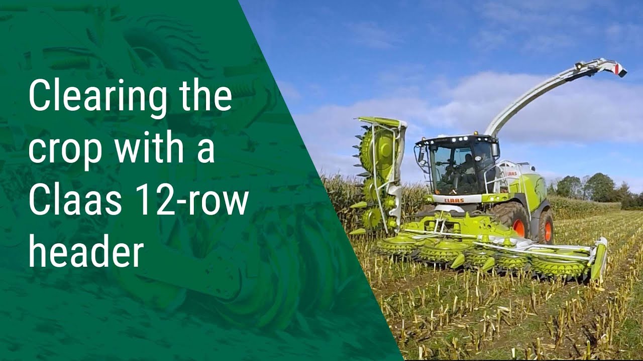 Clearing the crop with a Claas 12-row header - YouTube