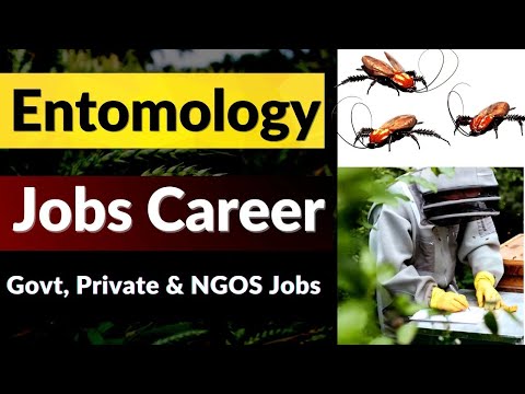 How To Become An Entomologist In India