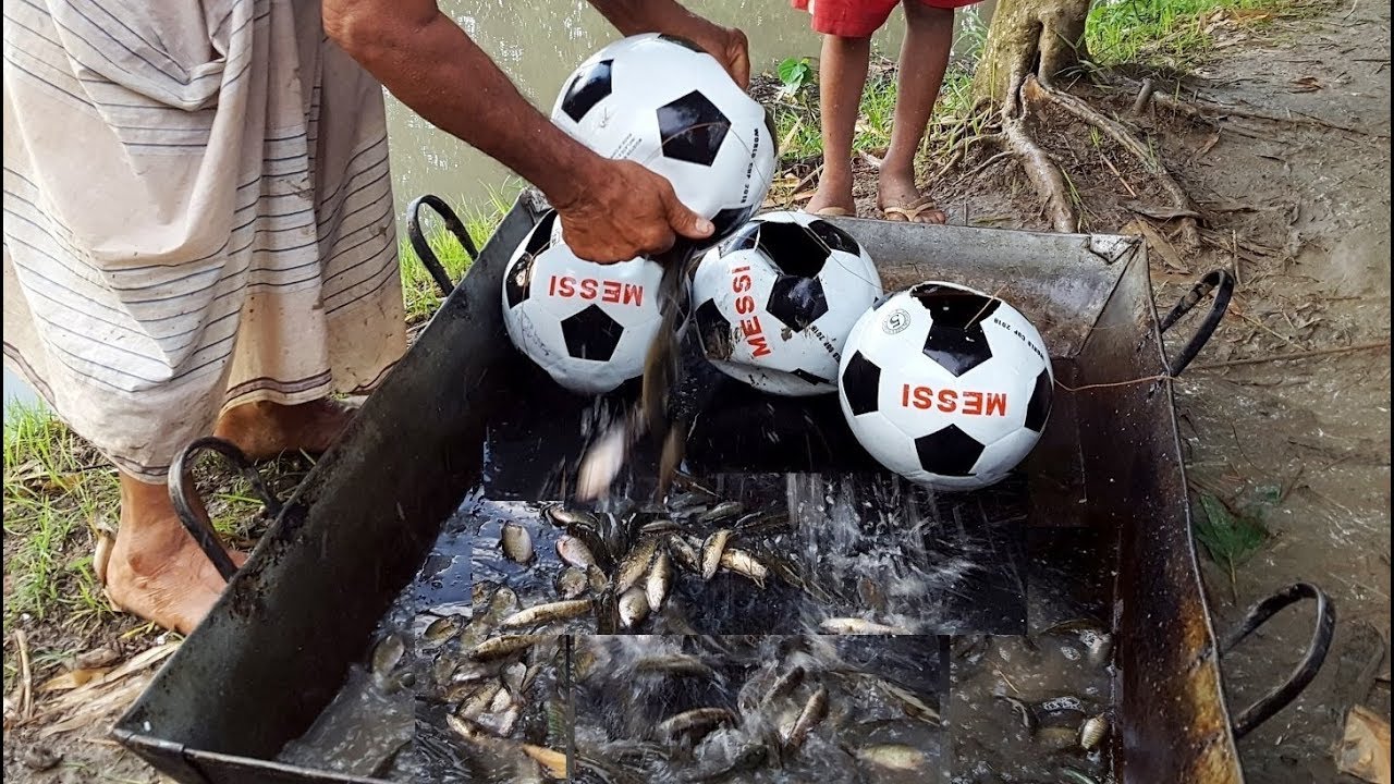 Unique Fish Trapping System In Football - New Technique Of Catching ...