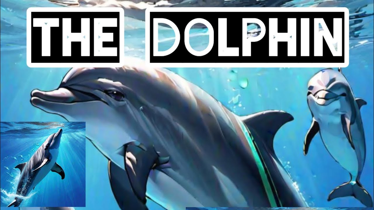 Dolphins_learning english through story_short story_#youtube #dolphins ...