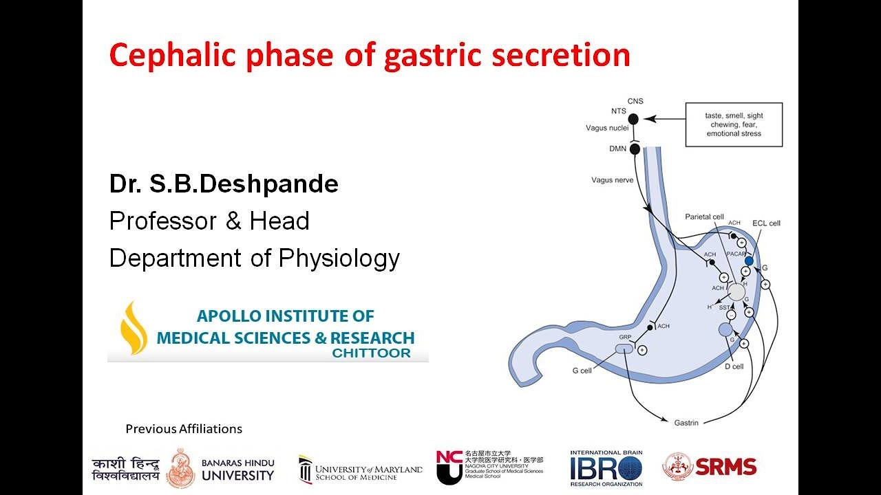 Cephalic Phase of Gastric Secretion by SB Deshpande - YouTube