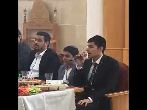 Meydad tasa uziya tzadok