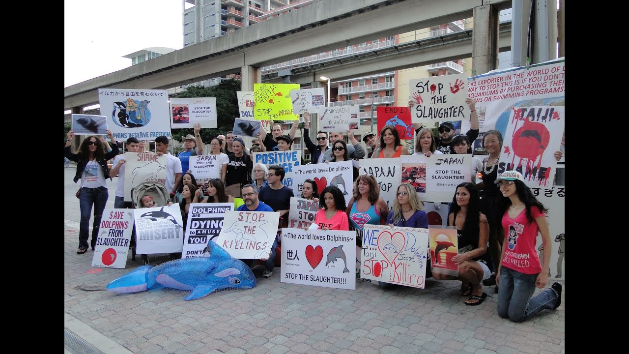 Miami Japanese Consulate Protest Against the Taiji Dolphin Slaughter ...