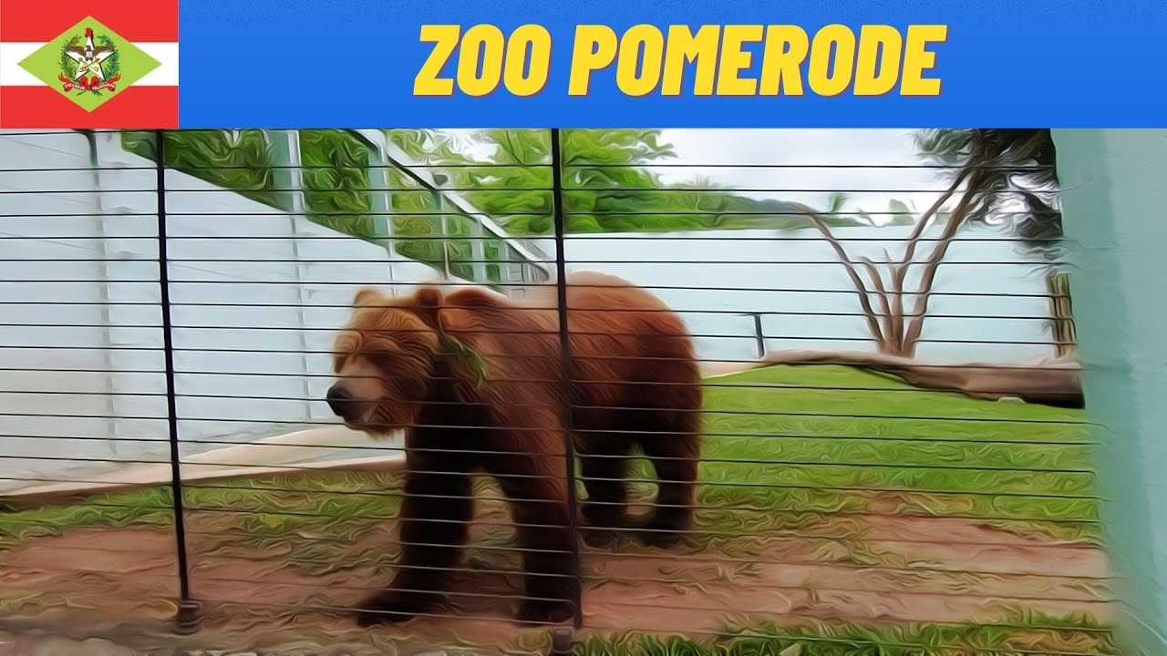 VISITAMOS O ZOOLÓGICO EM POMERODE SC COM MAIS DE 1000 ANIMAIS - YouTube