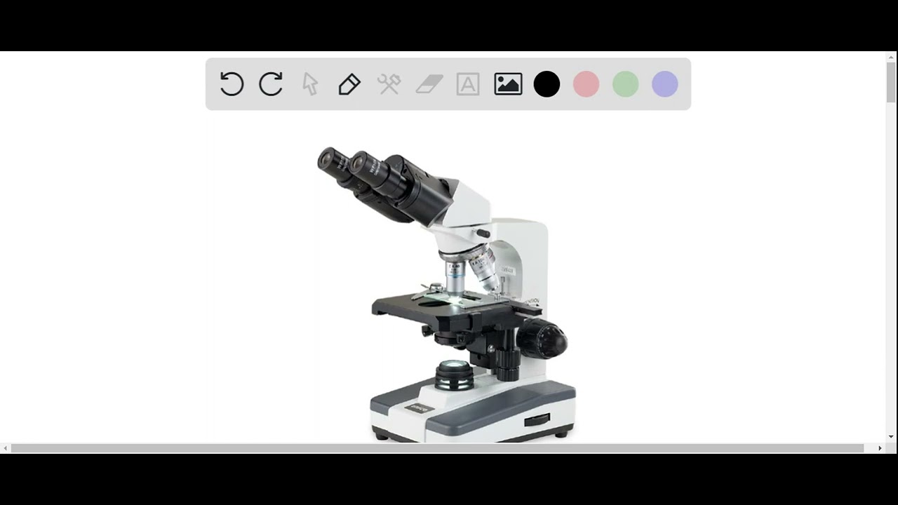 How do you think the SI V-Scope compares to using a physical microscope ...