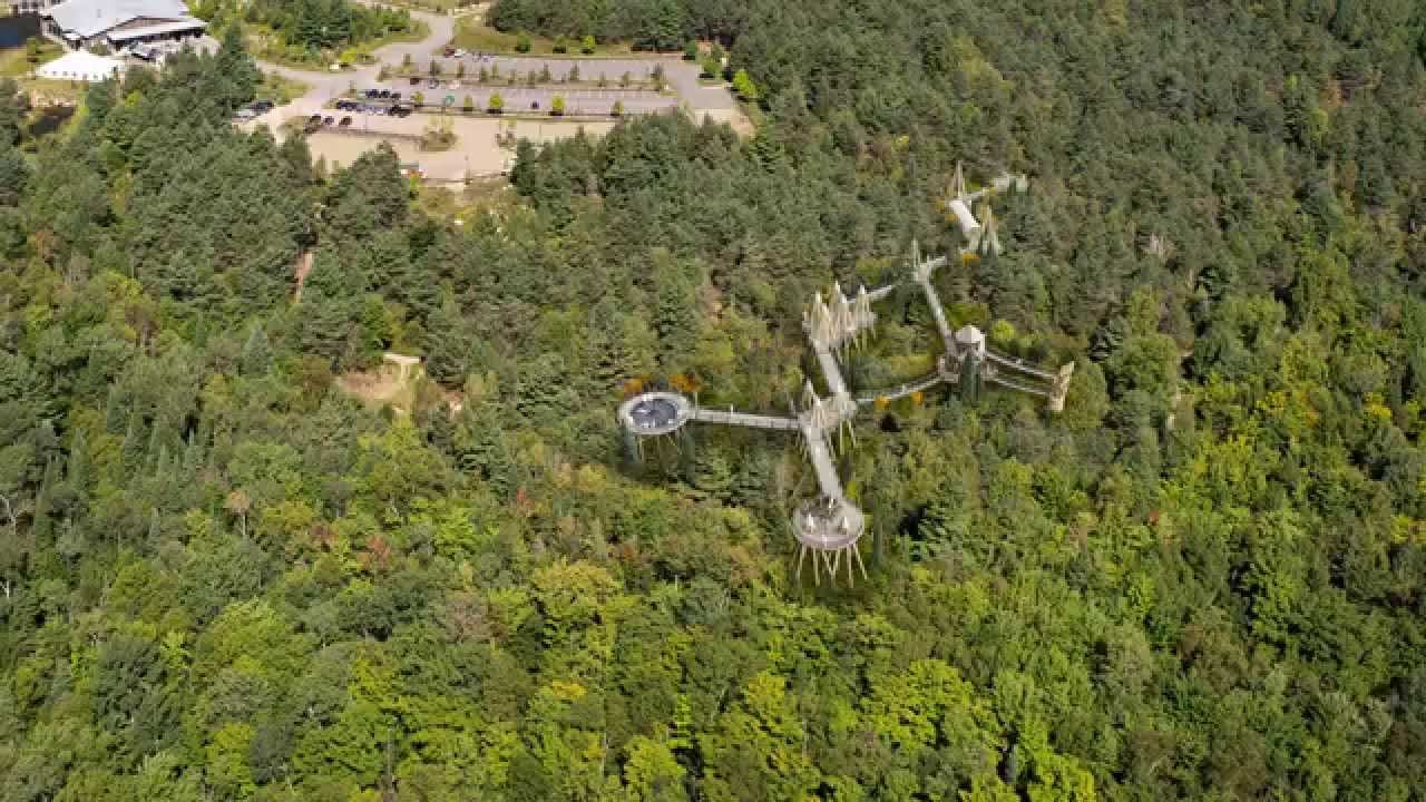 Wild Walk - the Adirondack trail across the treetops - YouTube