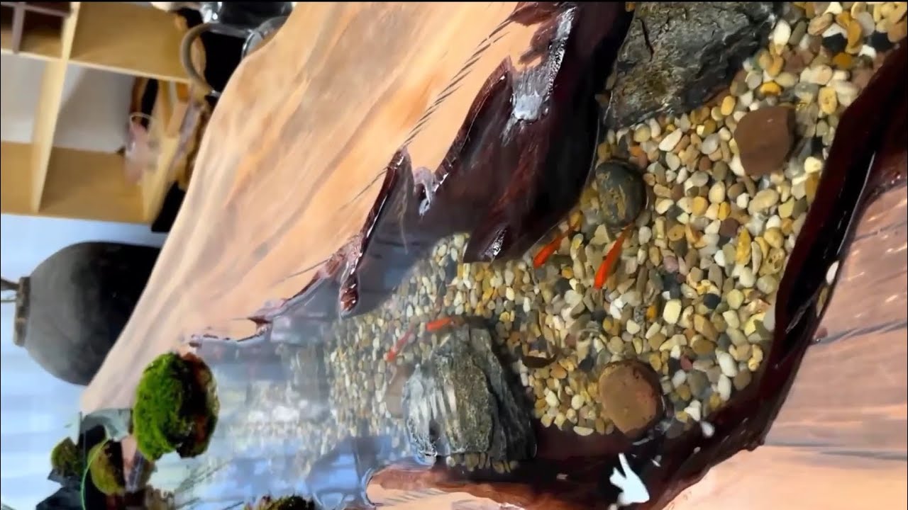 Fish pond on dining table - YouTube