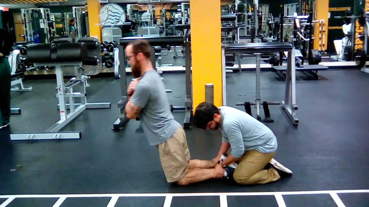 Partner Nordic Hamstring Curl - YouTube