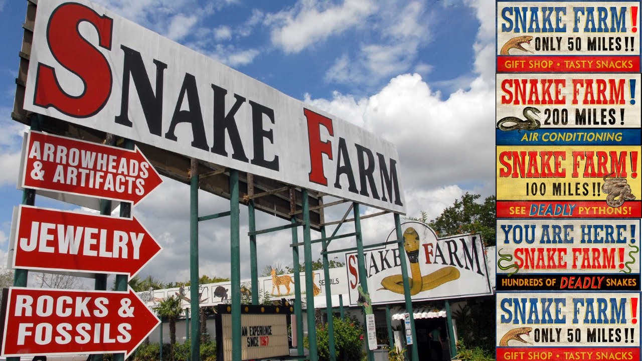 Animal World & Snake Farm Zoo - YouTube