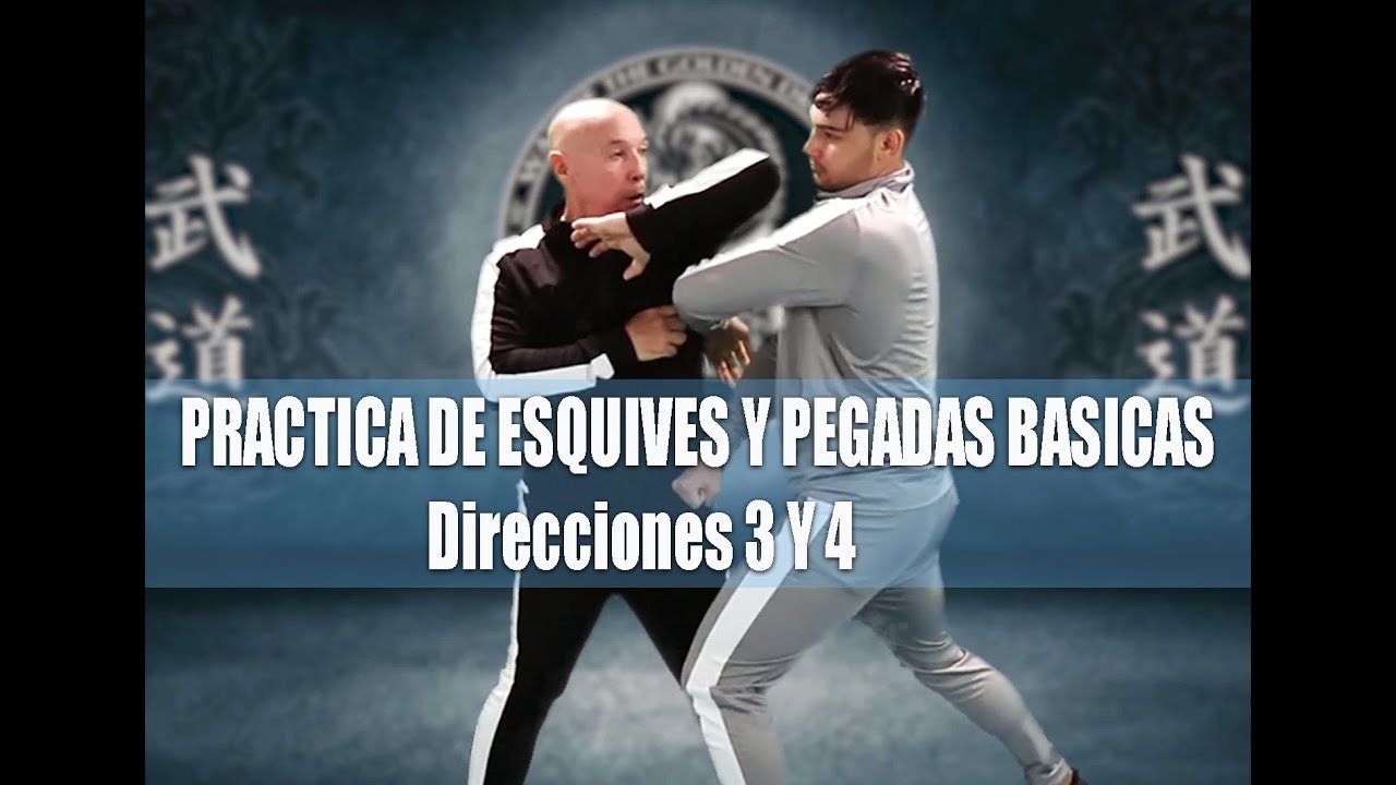 Practica de Esquives y Pegadas Basicas Direcciones 3 y 4 Regulares ...