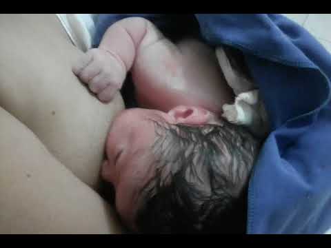 ESTER Lacerda-primeira mamada