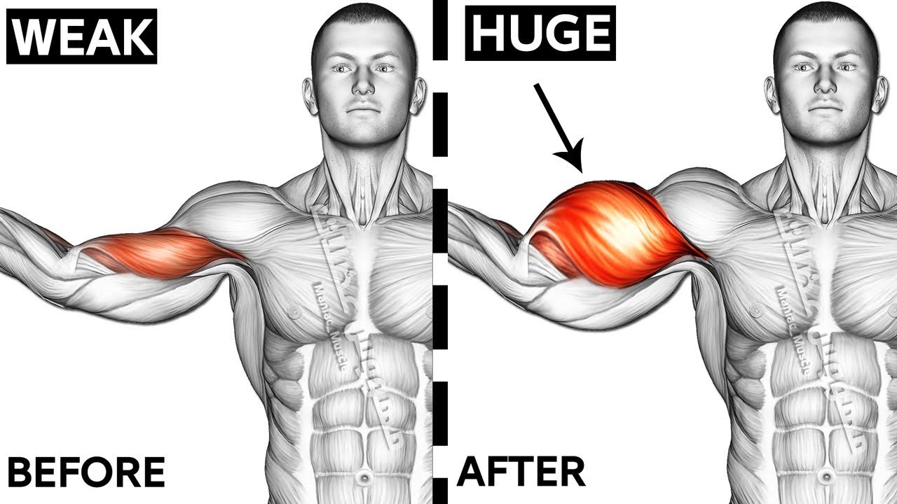 Fastest Effective Biceps Workout - Gym Biceps Workout - YouTube