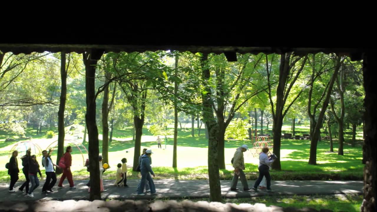 Paseo a Monte Sur - YouTube