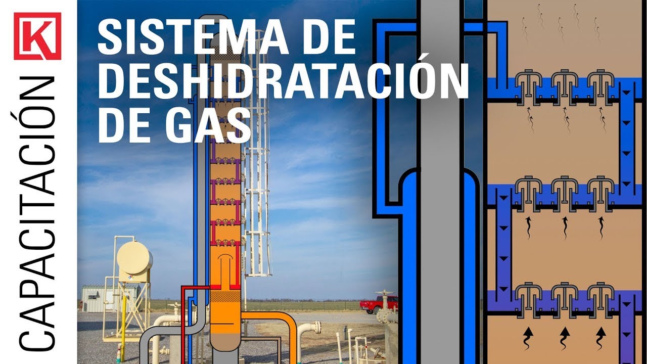 Sistema de deshidratación de gas: regeneración de glicol (TEG) [Bomba ...