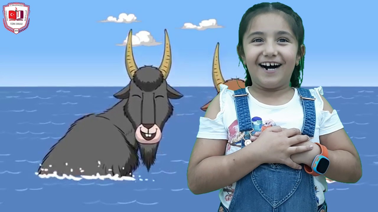 TWO SILLY GOATS 2018/2019 - YouTube