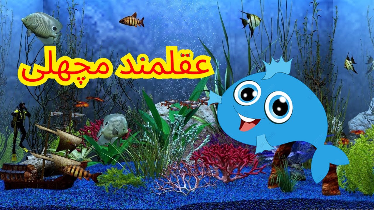 "The Genius Fish: Nature's Little Einsteins" #childrenslearning # ...