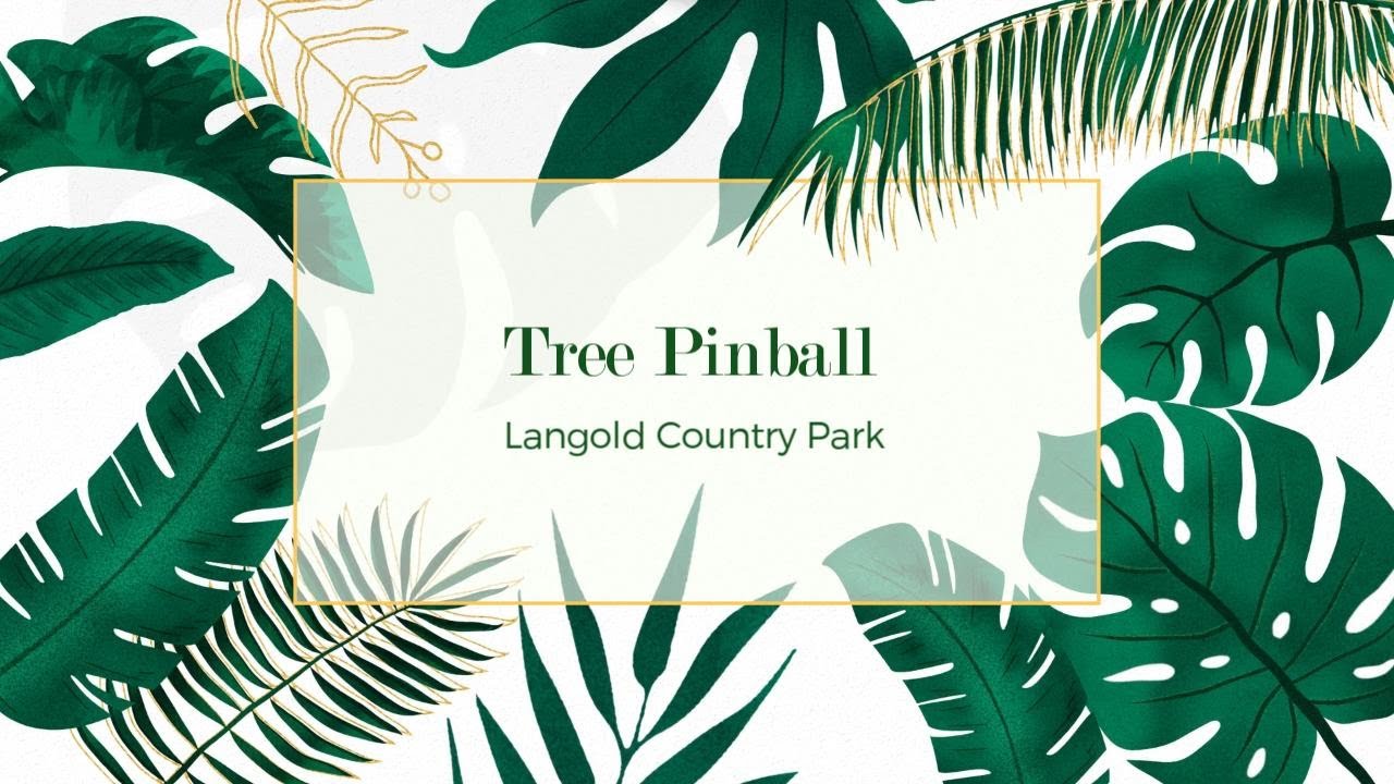 Tree Pinball - Cloud 149 V2 - YouTube