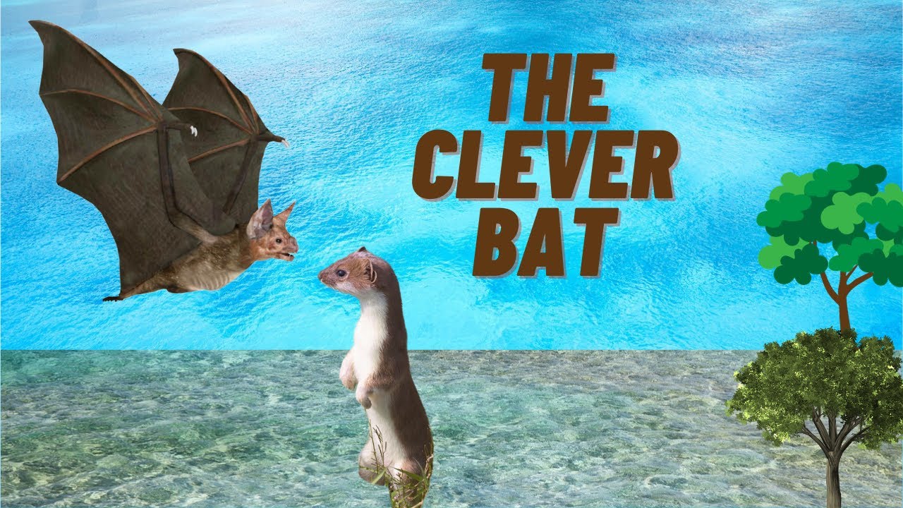 The Clever Bat - YouTube