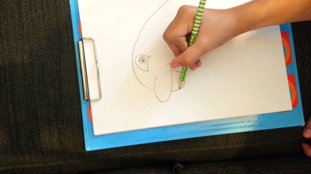 איך לצייר דולפין Youtube