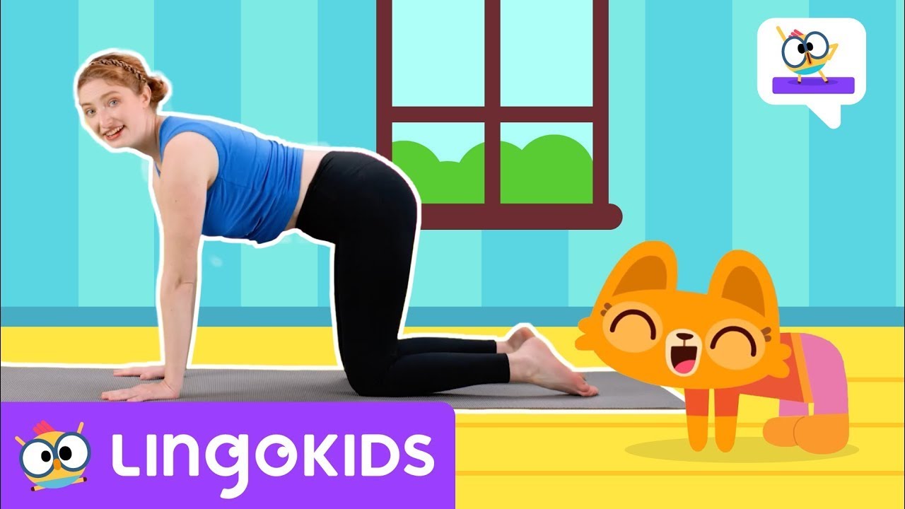 Lingokids_Cat Yoga - YouTube