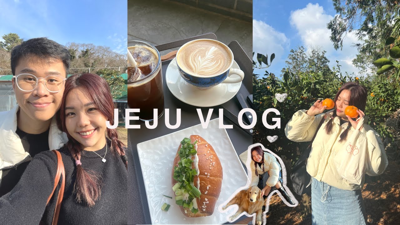 Winter Vlog in JEJU ️ 2 full days itinerary - Picking hallabong, Noraba ...