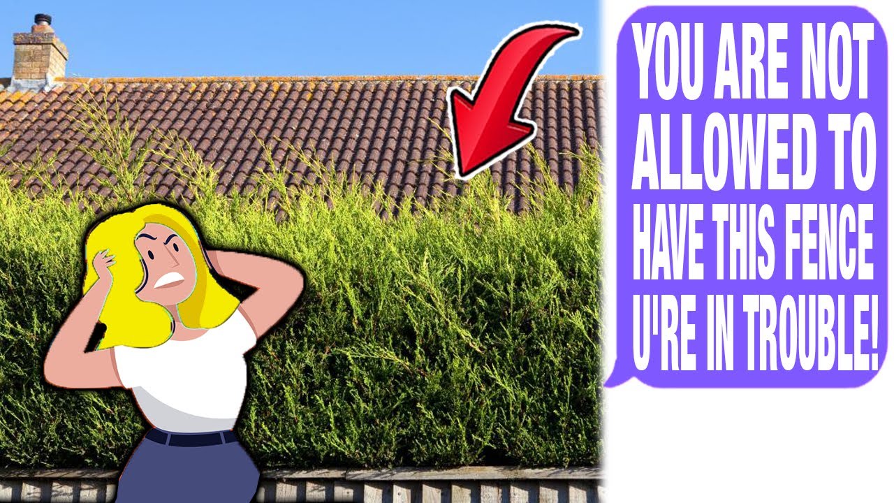 Neighbor Built An Illegal Spite Fence Next To The Property Line To RUIN ...