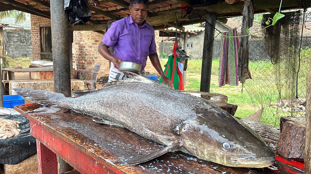😱INCREDIBLE!!Street Fish Markets: Village Women Masterfully Cut Fish ...