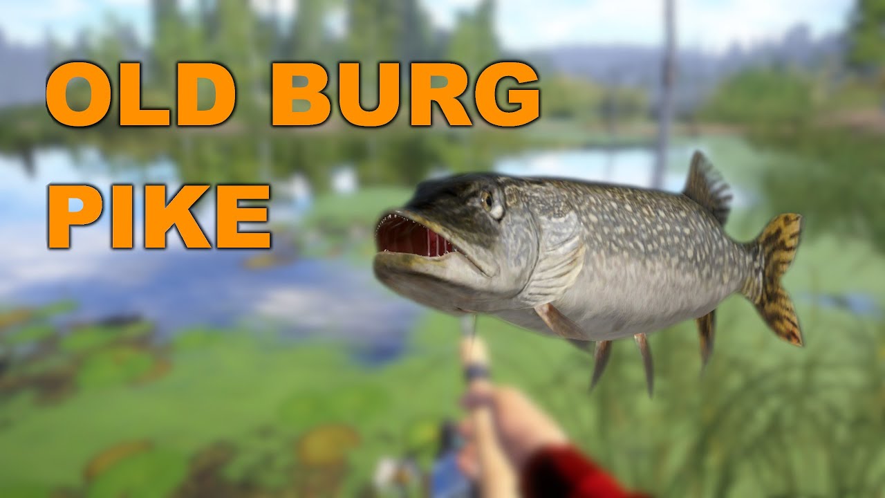 Russian Fishing 4 | Old Burg - PIKE SZCZUPAK | RF4 SPOT #47 - YouTube