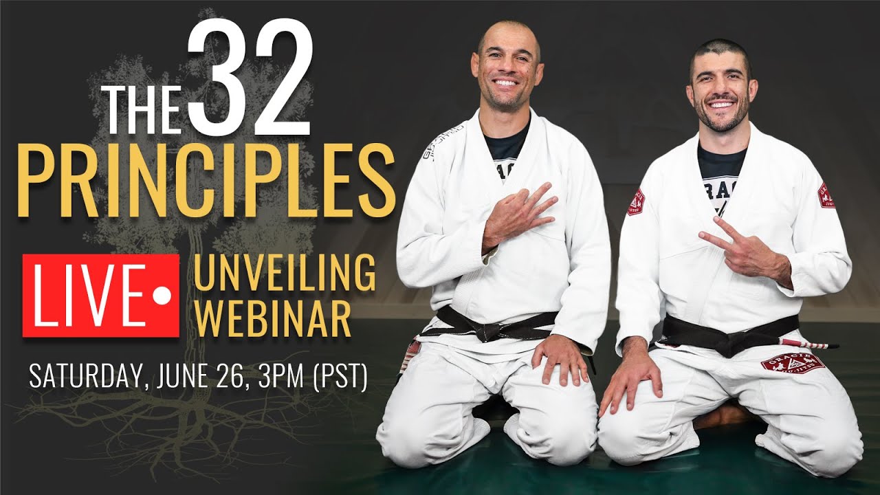 "The Jiu-Jitsu Tree" - How Strong Are Your Roots? - YouTube