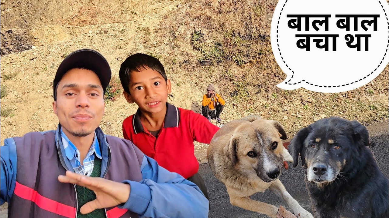 Hamara dog bal bal bacha tha || life style vlogs - YouTube