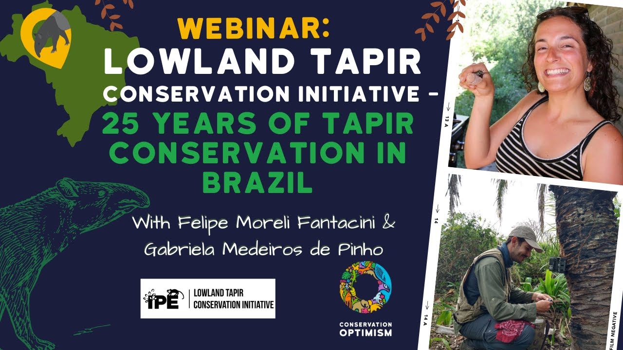 WEBINAR: Lowland Tapir Conservation Initiative - 25 years of tapir ...