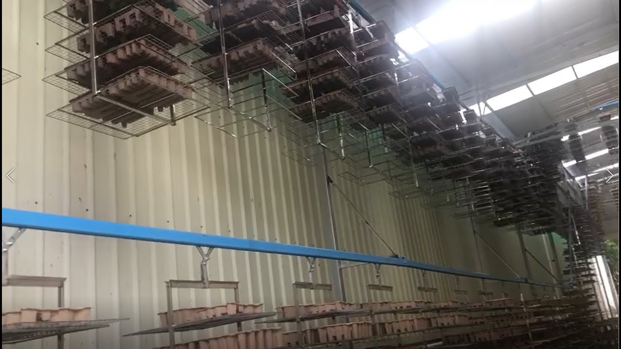 Pulp Tray Drying process2 - YouTube