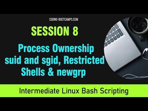 Master Linux Bash Scripting: Session 8.1 - Process Ownership, SUID/SGID, Restricted Shells ...