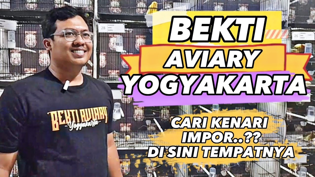 BEKTI AVIARY YOGYAKARTA‼️Gudangnya KENARI YORKSHIR, RASMI dan jenis ...