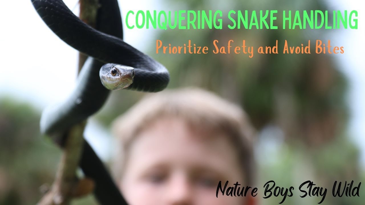 What's the best snake to practice handling them? - YouTube