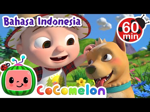 Mendaki Gunung Bersama Bingo! | CoComelon Bahasa Indonesia - Lagu Anak Anak | Nursery Rhymes
