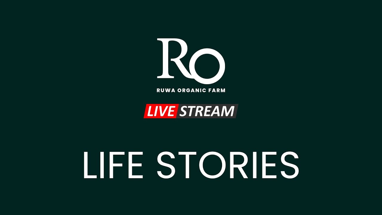 Share Your Story (LIVE STREAM) - YouTube