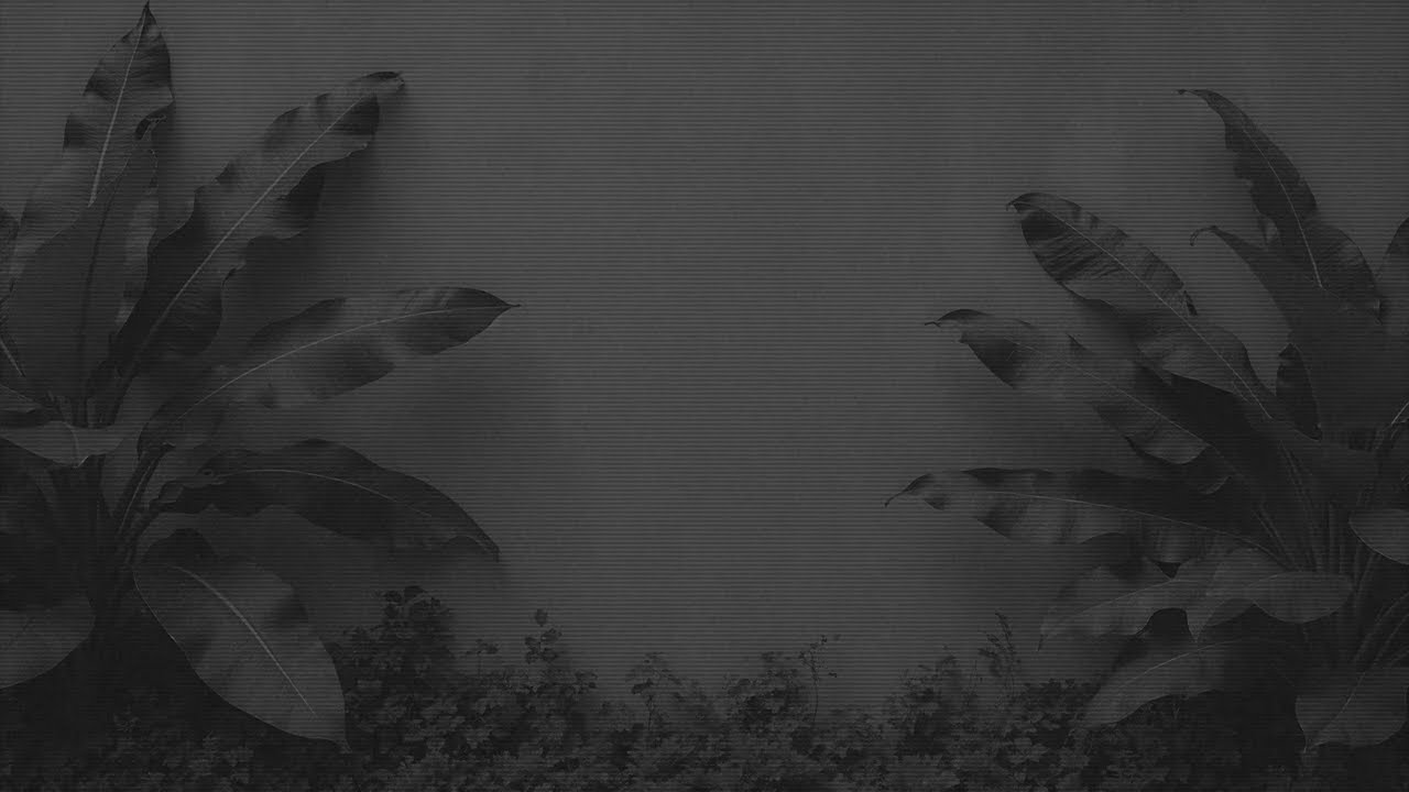 Nomyn - Healing - YouTube