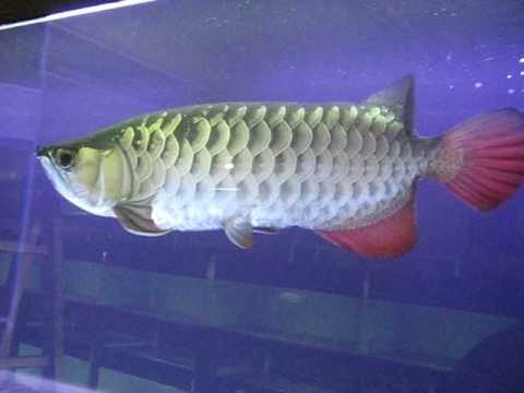 Super HBRTG - YouTube