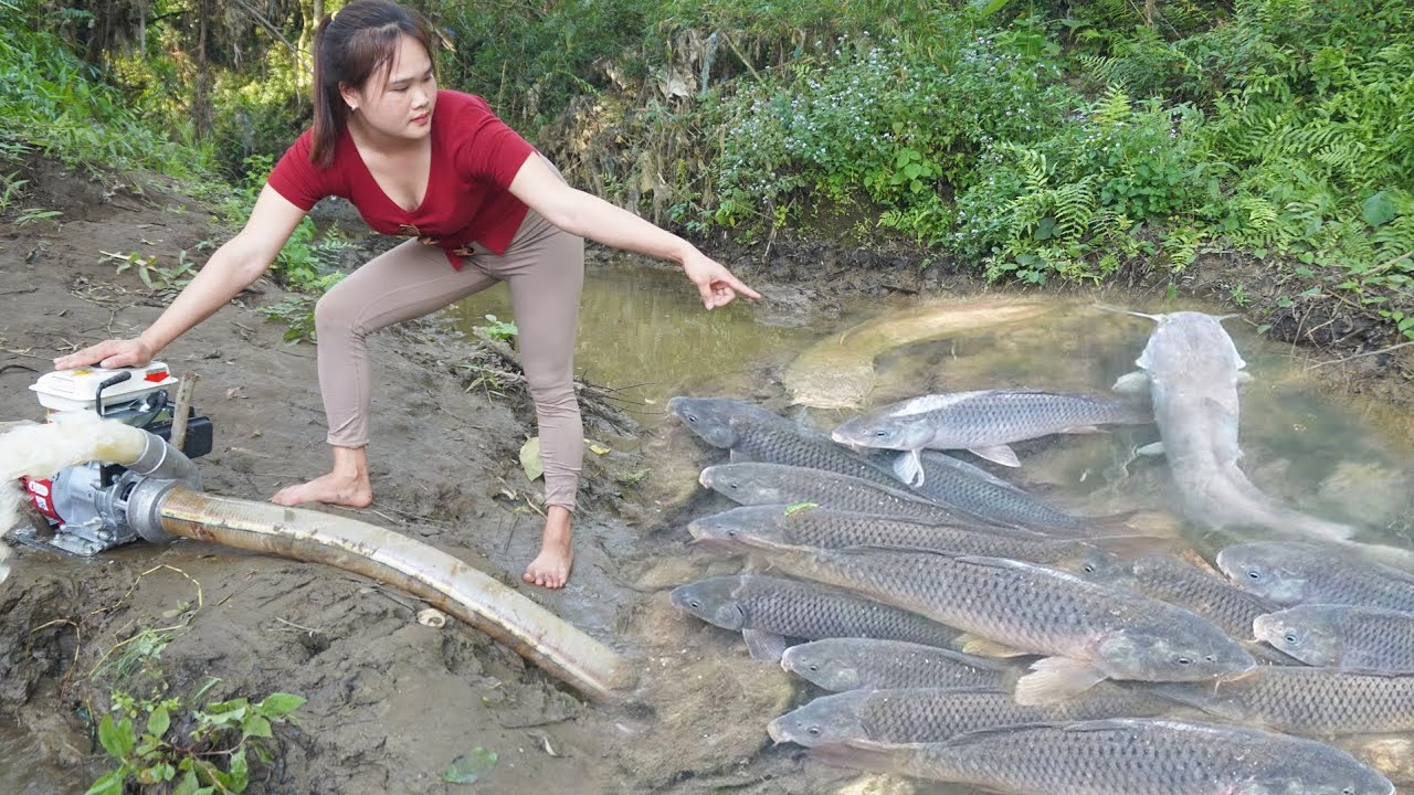 The Simlest Fishing by a Girl | Fishing Techniques,Catching Fish With ...