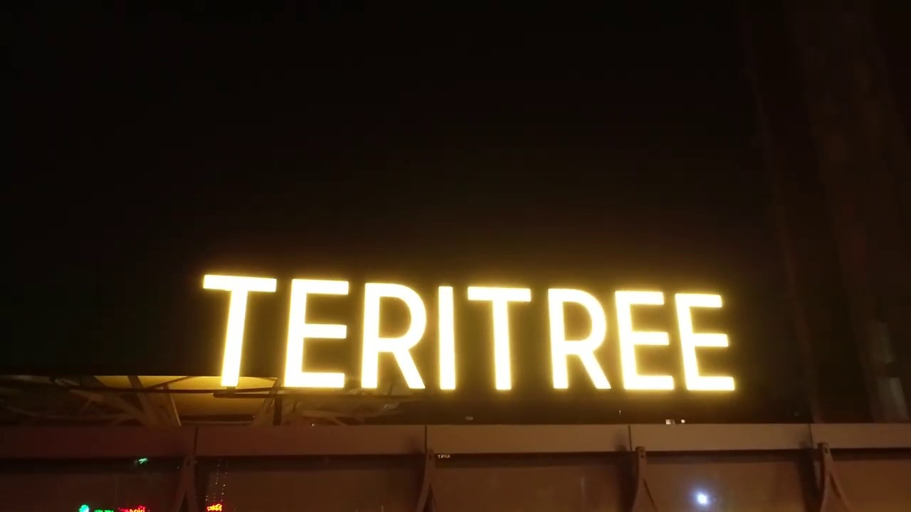 Welcome to Teritree | Fine Dine Restaurant in Hadapsar, Pune - YouTube