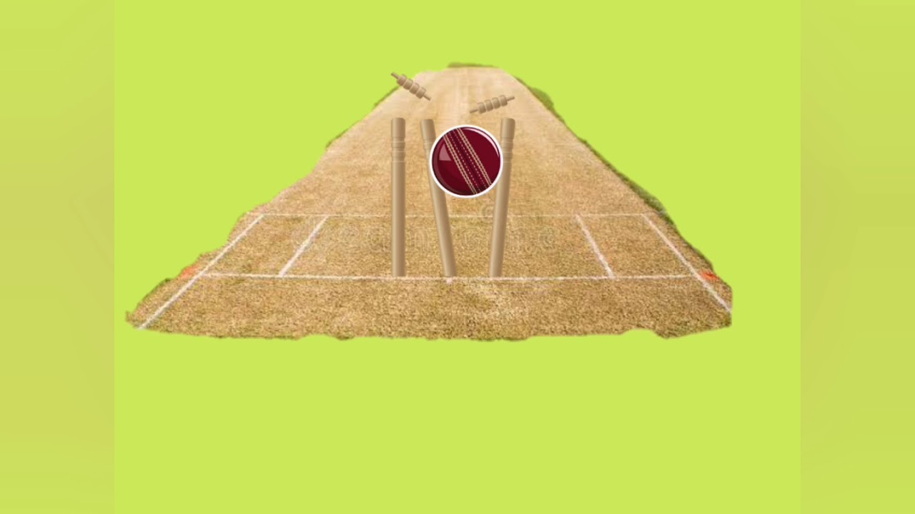 CRICKET BALL HITTING STUMPS 2D CARTOON - YouTube