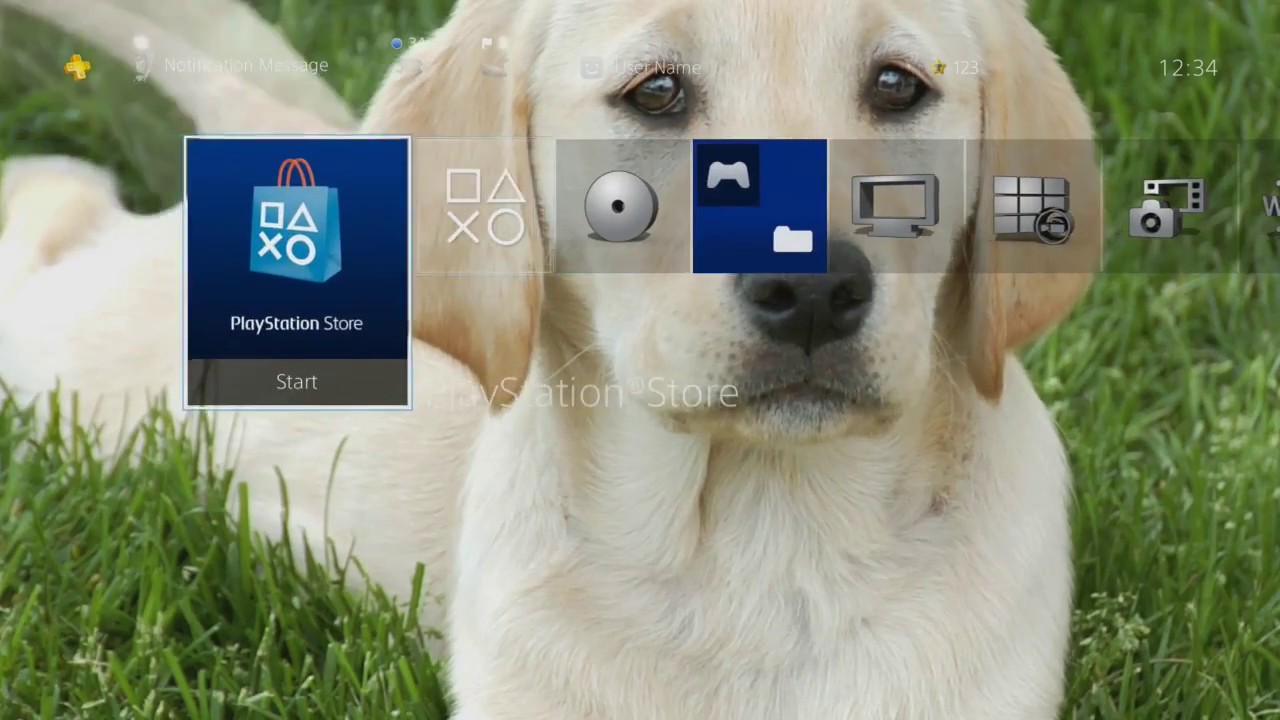 Dog - PlayStation 4 Dynamic Theme - YouTube