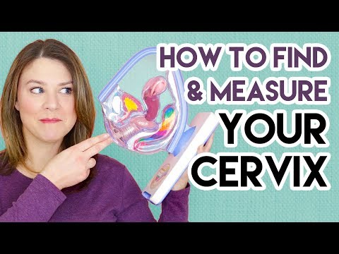 How to Find and Measure Your Cervix