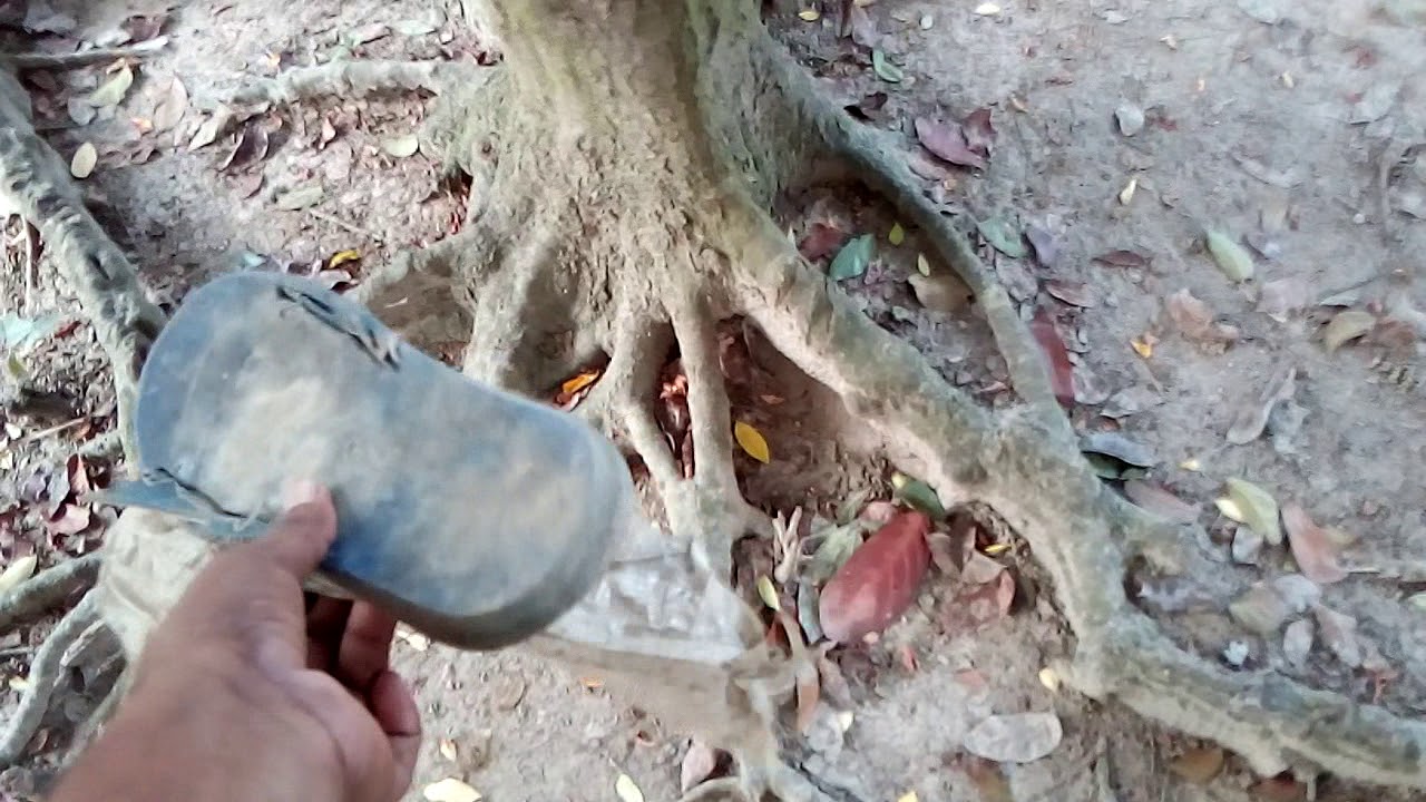 My Cleanplanet Work - 12-11-2019 - YouTube