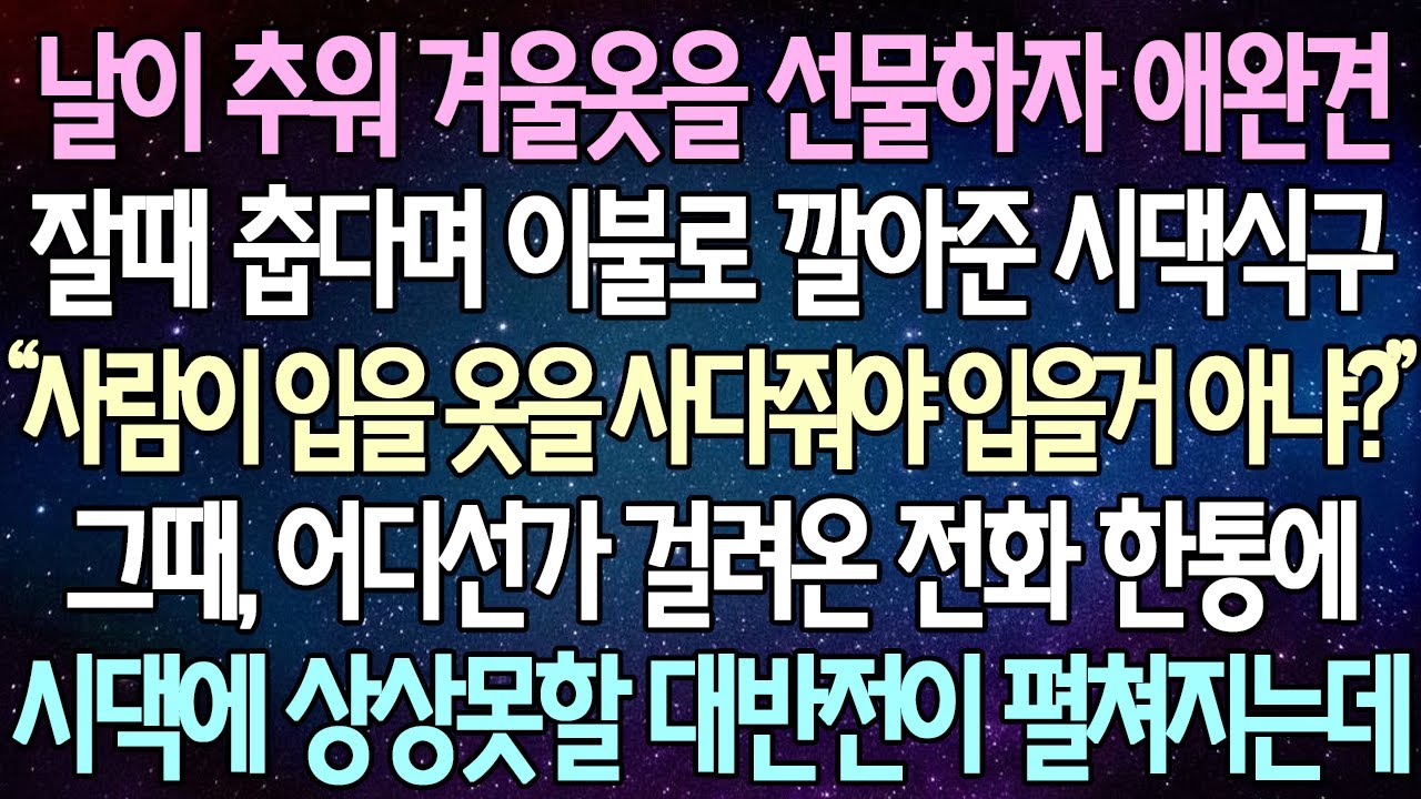 반전 사연 날이 추워 겨울옷을 선물하자 애완견 잘때 춥다며 이불로 깔아준 시모 그때 어디선가 걸려온 전화 한통에 시댁에